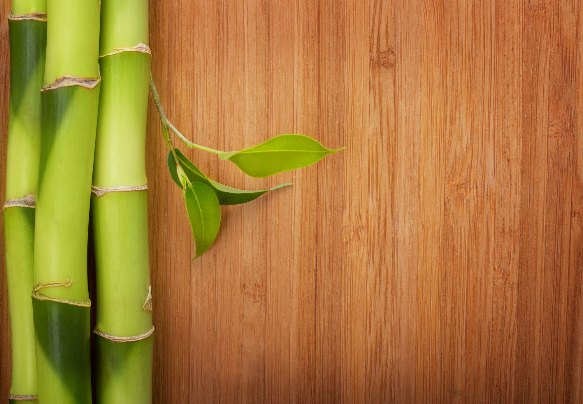 Bamboo Flooring Westcoast Floors